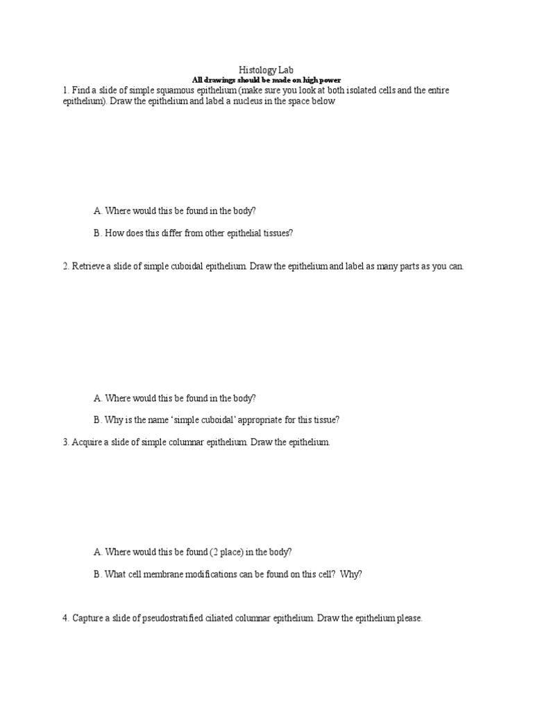 Histology Lab | PDF | Epithelium | Histology