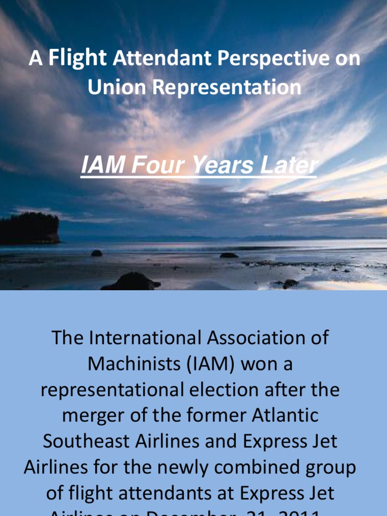 IAM Representation Four Years Later | PDF | International Association ...