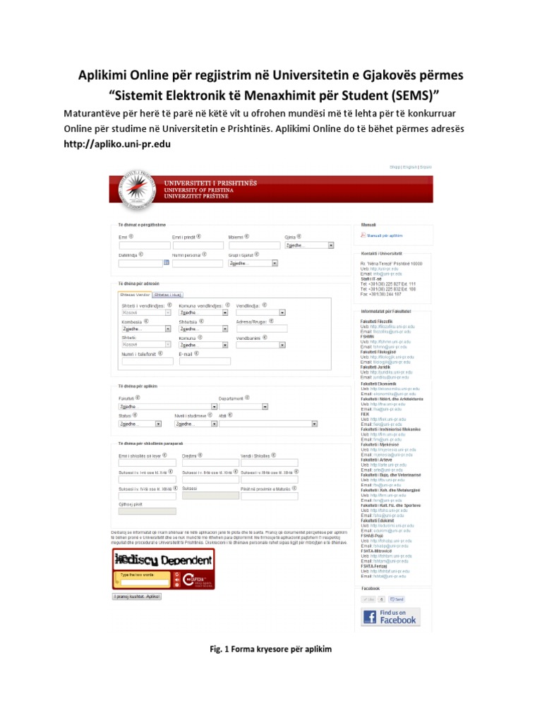 Aplikimi Online | PDF
