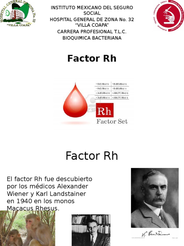Comprendiendo el Factor Rh en Sangre | PDF | Tipo de sangre | Sangre