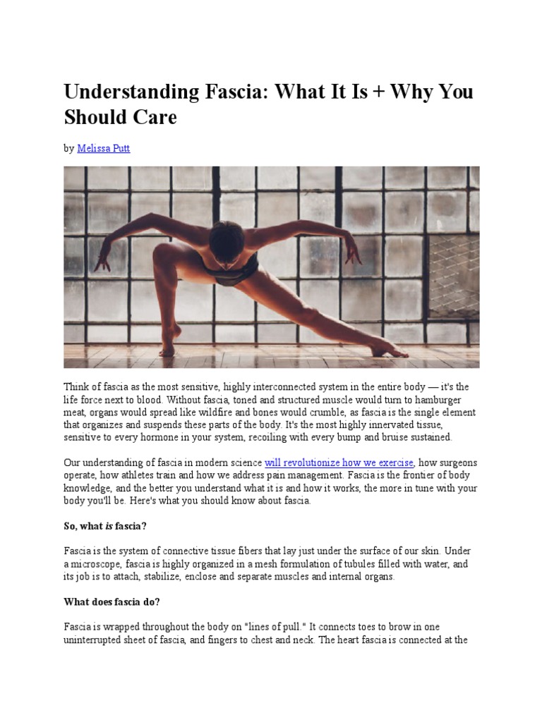 Understanding Fascia | PDF | Extracellular Matrix | Muscle