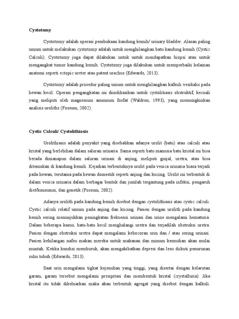 Cystotomy | PDF