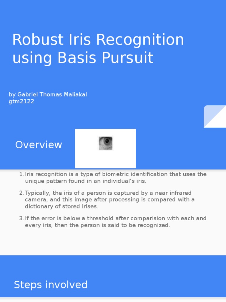 Robust Iris Recognition Using Basis Pursuit Pdf Matrix Mathematics Vector Space