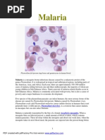 Plasmodium SPP.: Parasitology Dept | PDF | Plasmodium | Malaria