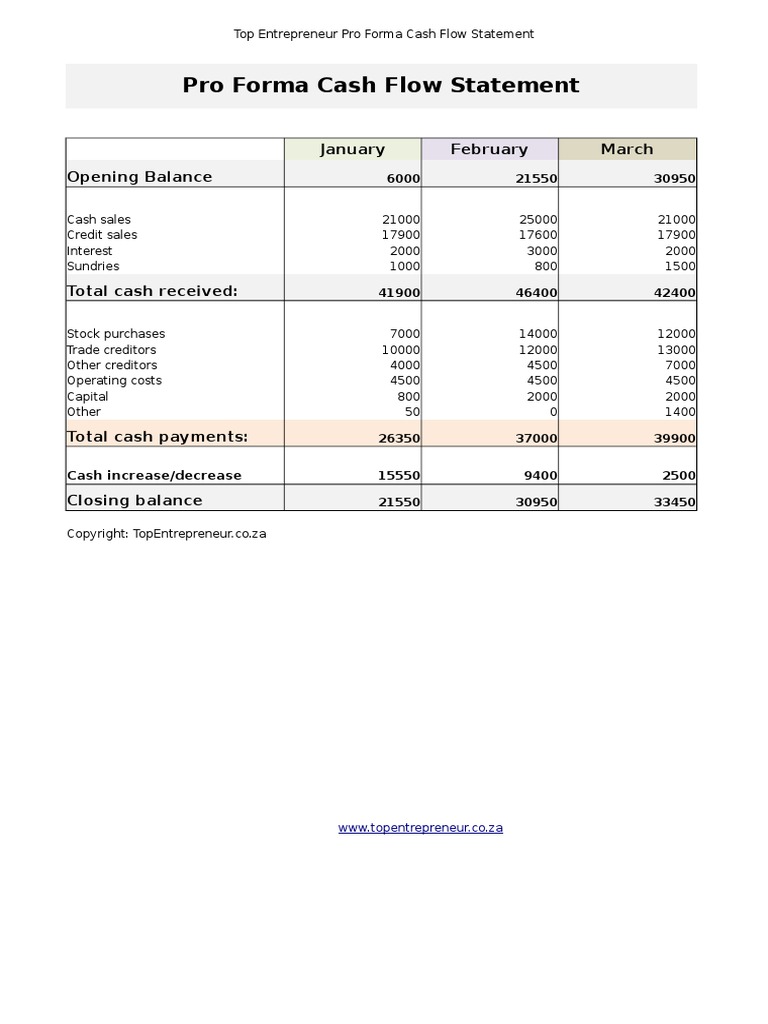 Pro Forma Cash Flow Statement Example | PDF | Pro Forma | Investing