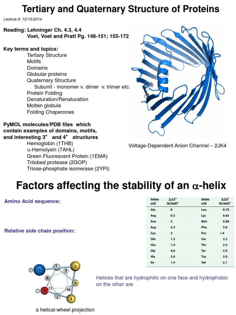 Protein Structure and Folding Guide | PDF | Protein Structure | Protein ...