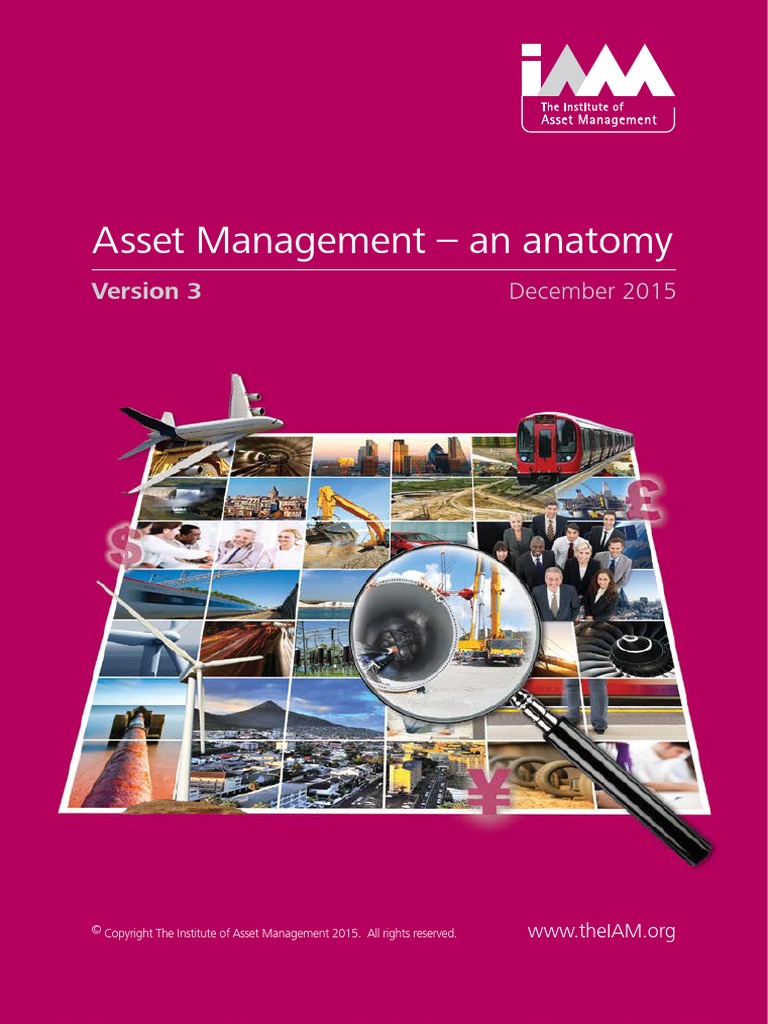 IAM Anatomy | PDF | Asset Management | Risk Management