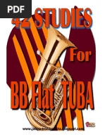 Tuba Handbook for Beginners | PDF | Tuba | Brass Instruments