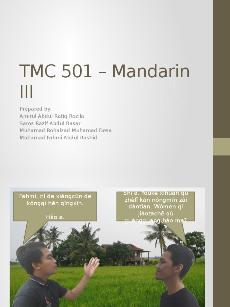TMC 501 - Mandarin III | PDF