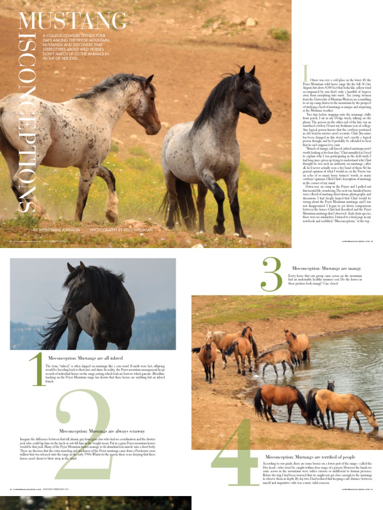 COWGIRL Magazine - Jan-Feb 2016 | PDF | Mustang | Cowboys