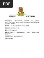 grade-11-exam-guidelines-2025 | PDF | Cellular Respiration | Kidney