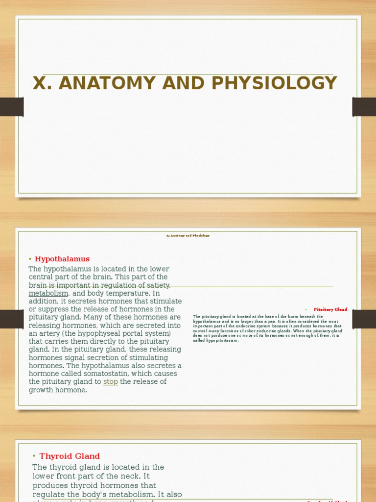 Anatomy and Physiology of Endocrine System | PDF | Adrenal Gland | Pancreas