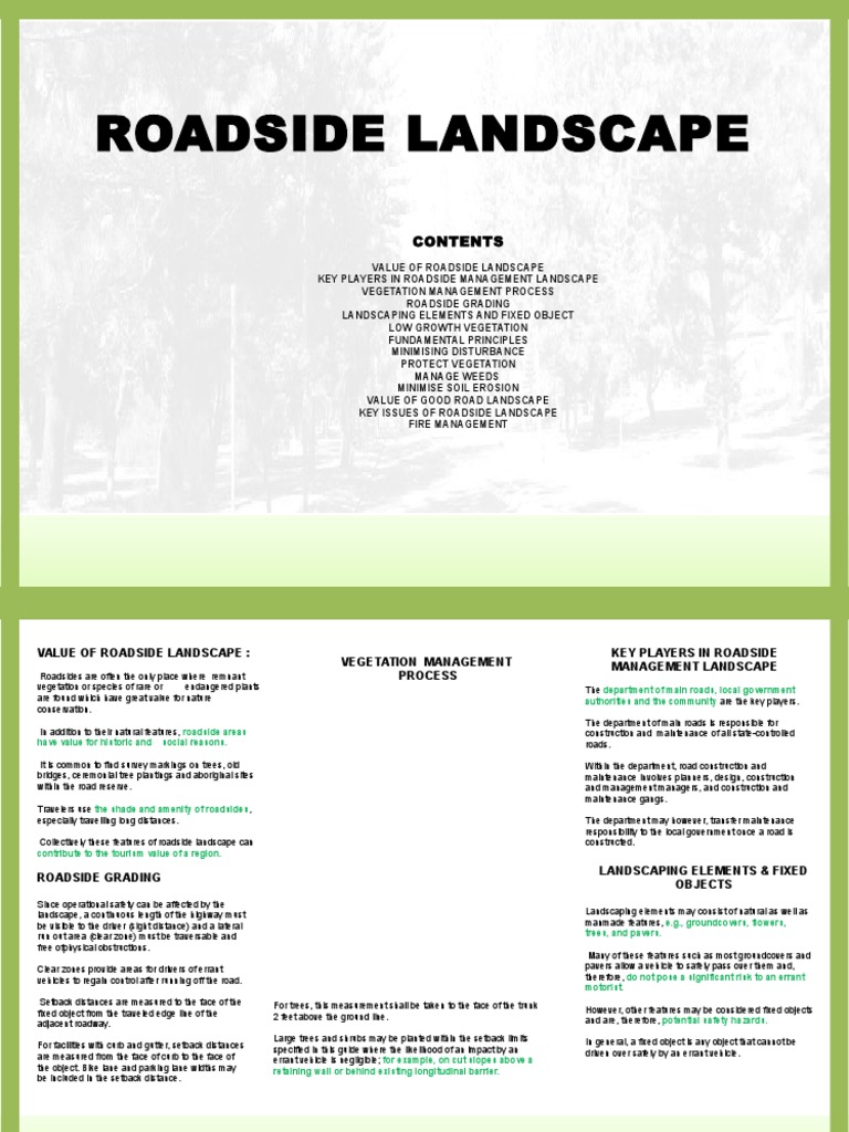 Roadside Landscape | PDF | Vegetation | Road