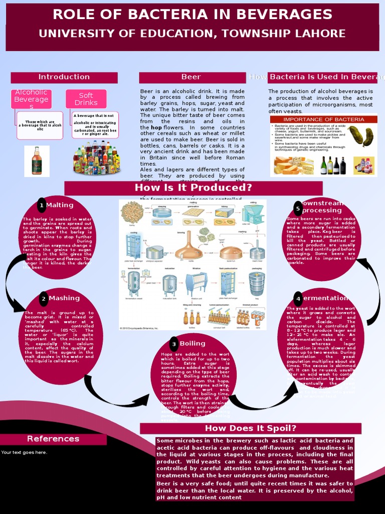 Bacteria Part in Beer | PDF | Beer | Brewing