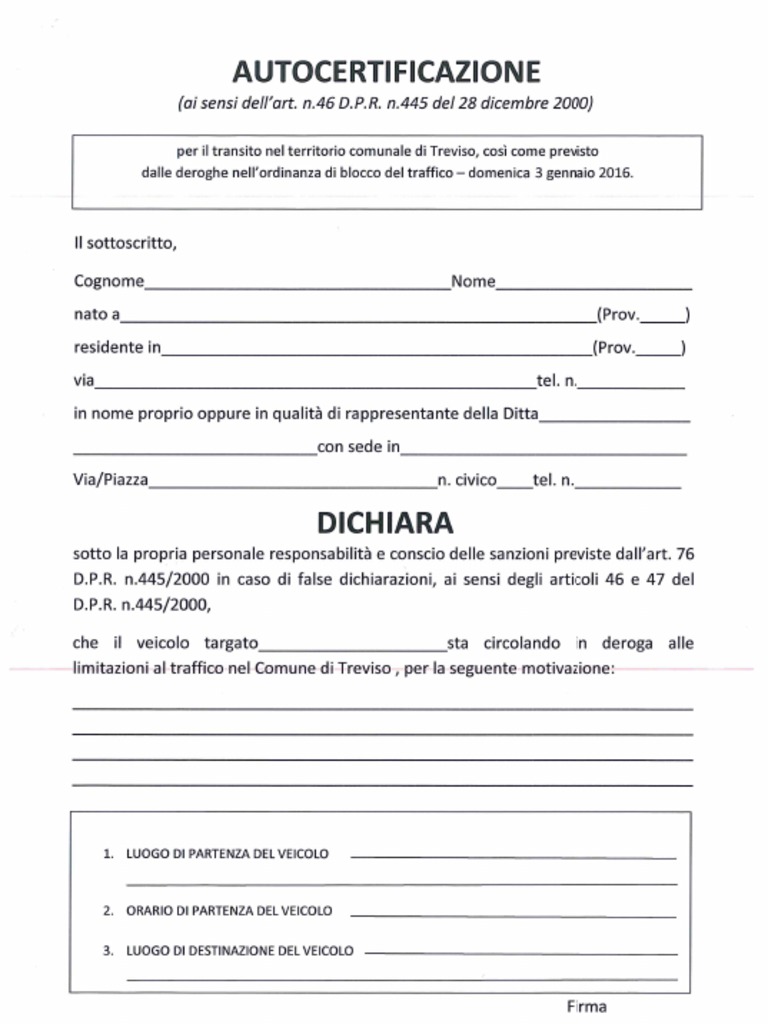 Il Modulo Di Autocertificazione | PDF