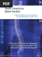 Lumbar Disc Nomenclature 2.0 | PDF | Vertebral Column | Medical Diagnosis