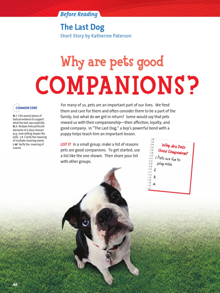 The Last Dog Text | PDF | Pet | Dogs