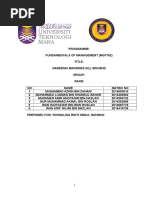 MGT162 Group Assignment | PDF | Leadership