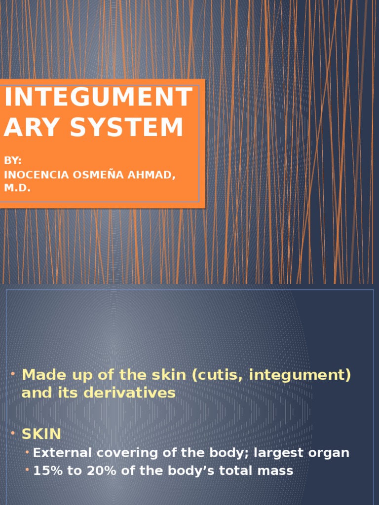 Integumentary System | PDF | Skin | Integumentary System