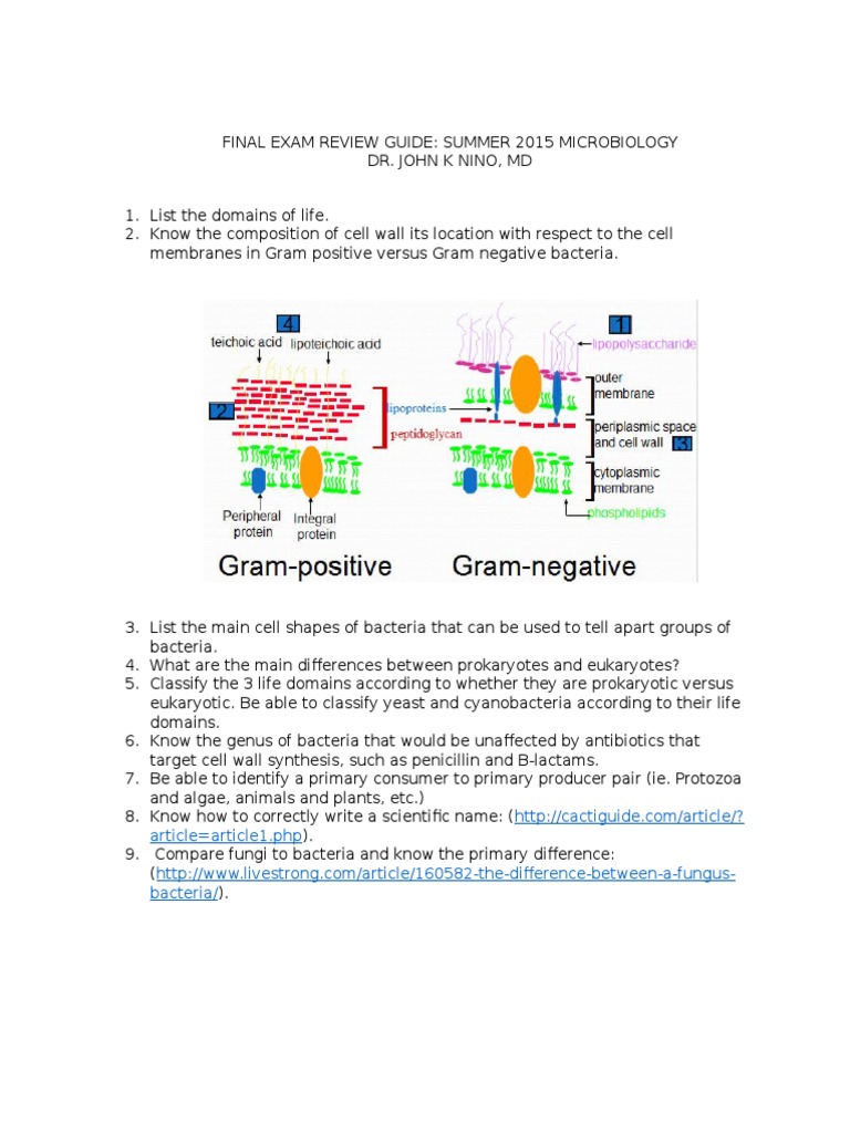 Microbiology Final Exam Review | PDF | Cell (Biology) | Bacteria