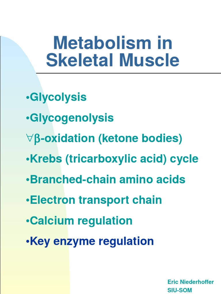 Musculoskeletal System 2006 Website | PDF