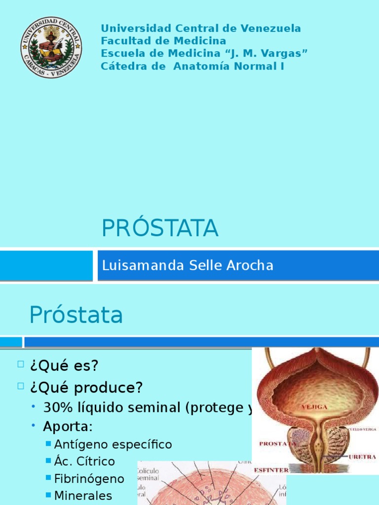 Anatomía de La Próstata | PDF