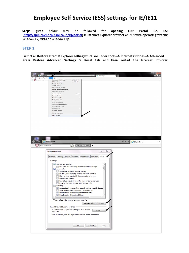 Employee Ess Portal | PDF