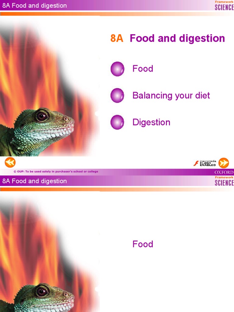 Food Tests | PDF | Digestion | Carbohydrates