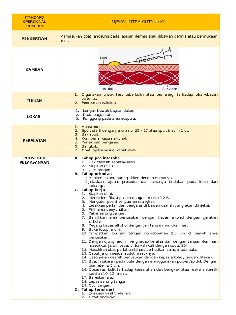 SOP Injeksi IC | PDF