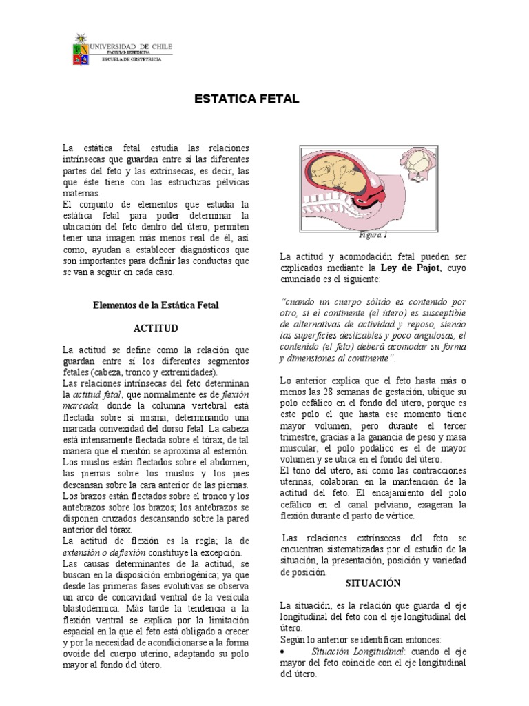 Estatica Fetal | PDF | Anatomía humana | Salud y bienestar