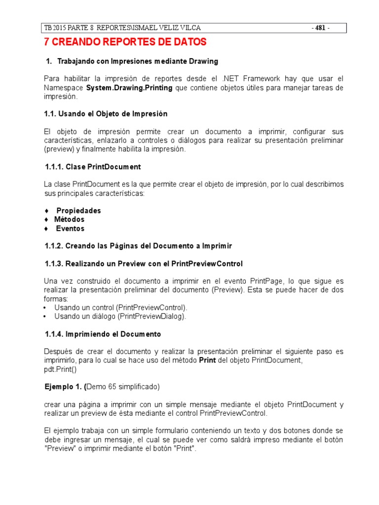 Reportes | PDF | Microsoft Word | Microsoft Visual Studio