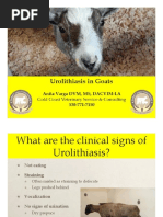 Goat Medication Guide and Dosages | PDF | Animal Feed