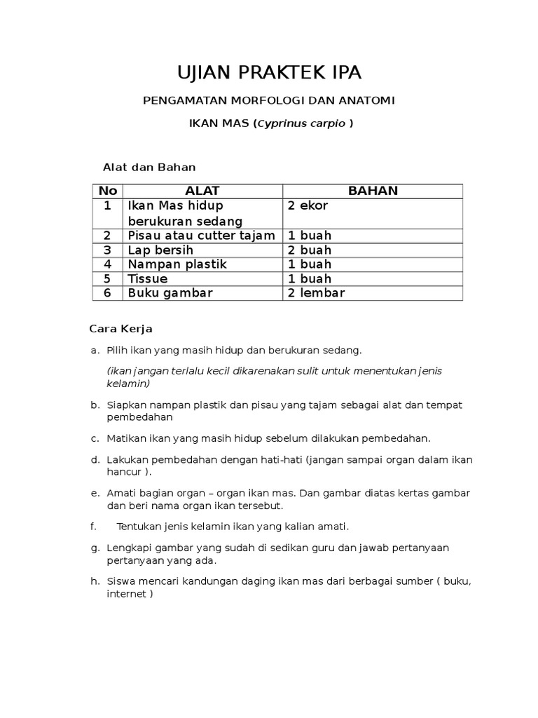 Contoh Teks Pengumuman Pdf