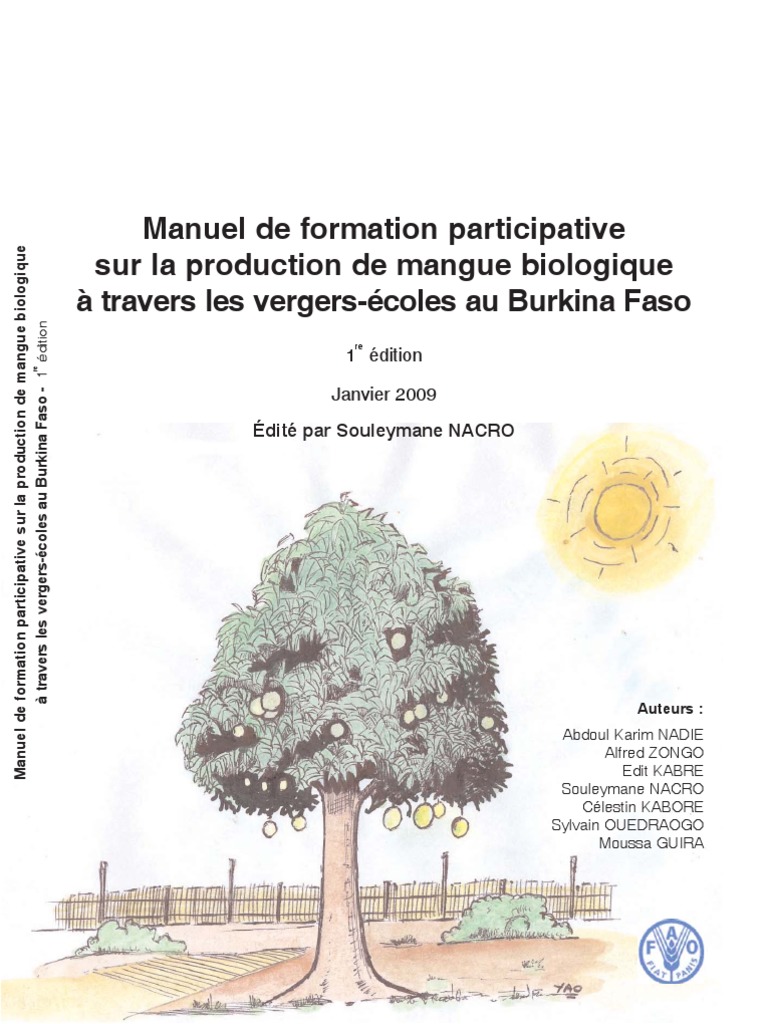 Formation sur la mangue biologique au Burkina | PDF | Greffe (botanique ...