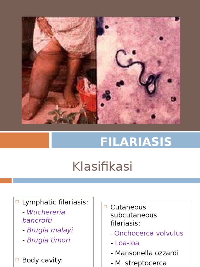 Epidemiologi, Patogenesis dan Manifestasi Klinis Filariasis | PDF