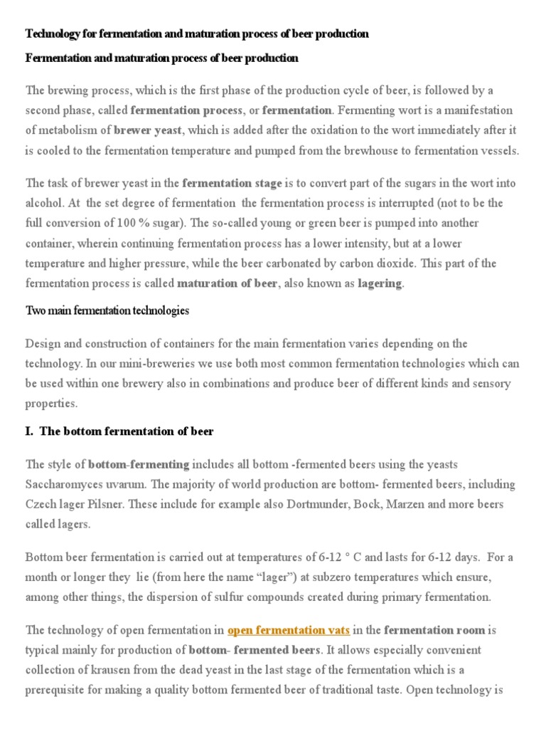 Technology For Fermentation and Maturation Process of Beer Production ...