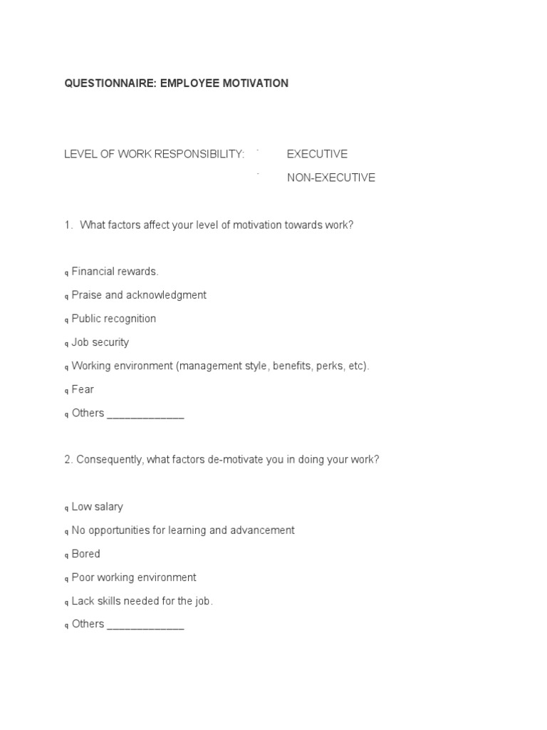 Employee Motivation Questionnaire Insights | PDF | Employment ...