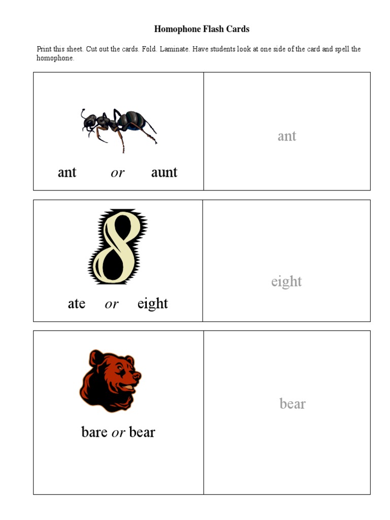 Ant or Aunt: Homophone Flash Cards | PDF | Art | Poetry