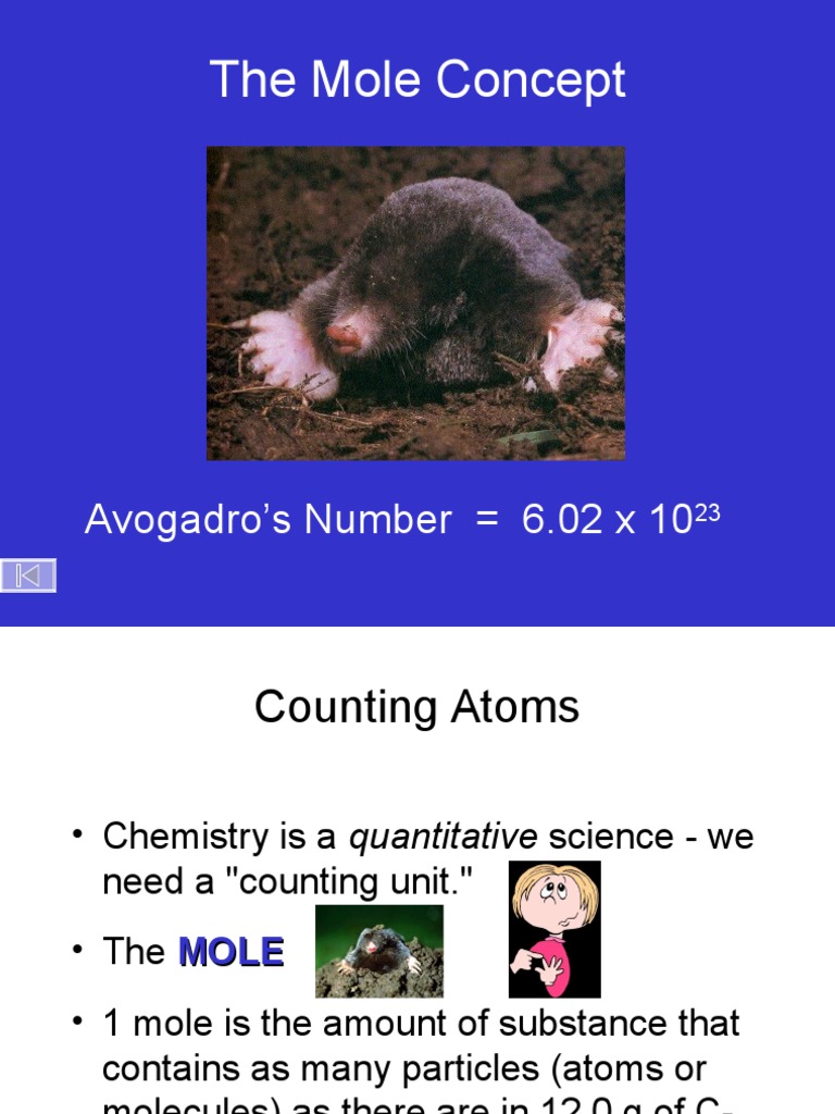 Understanding the Mole Concept | PDF | Science & Mathematics ...