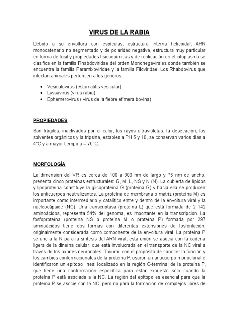 Patogenia Del Virus de La Rabia | PDF | Interferón | Sistema inmune