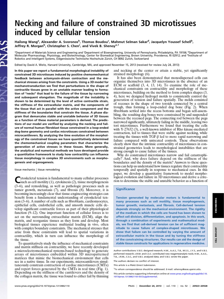 Necking and Failure of Constrained 3D Microtissues Induced by Cellular ...