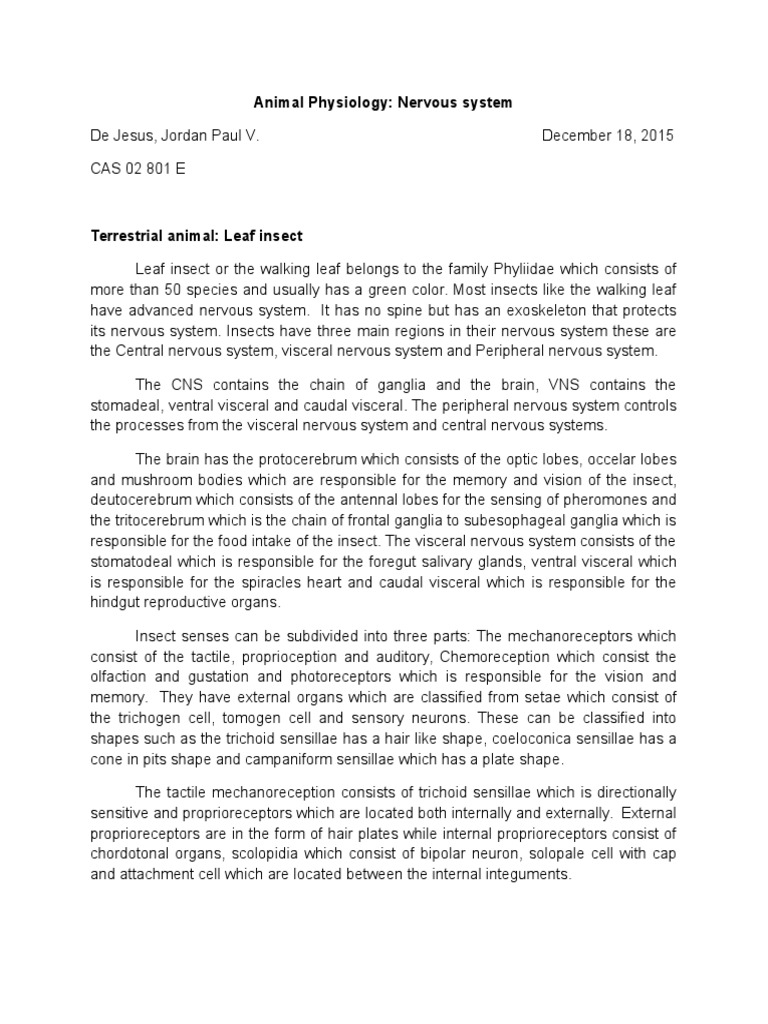 Animal Physiology Nervous System | PDF | Nervous System | Bat