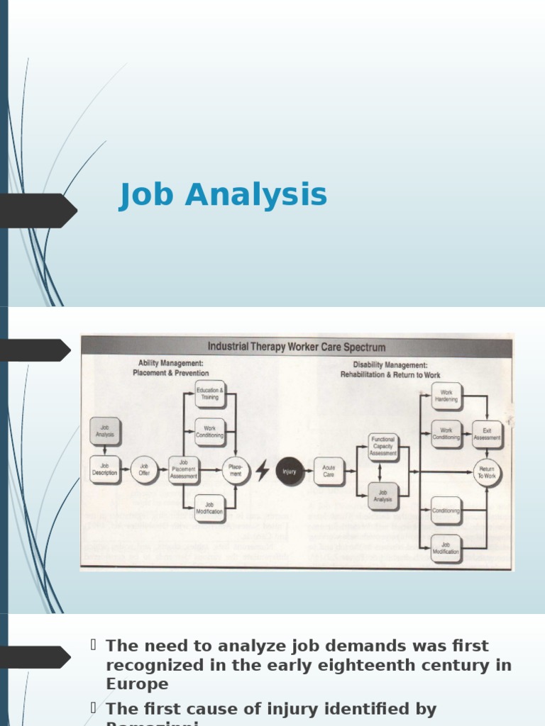 Job Analysis | PDF | Human Factors And Ergonomics | Employment