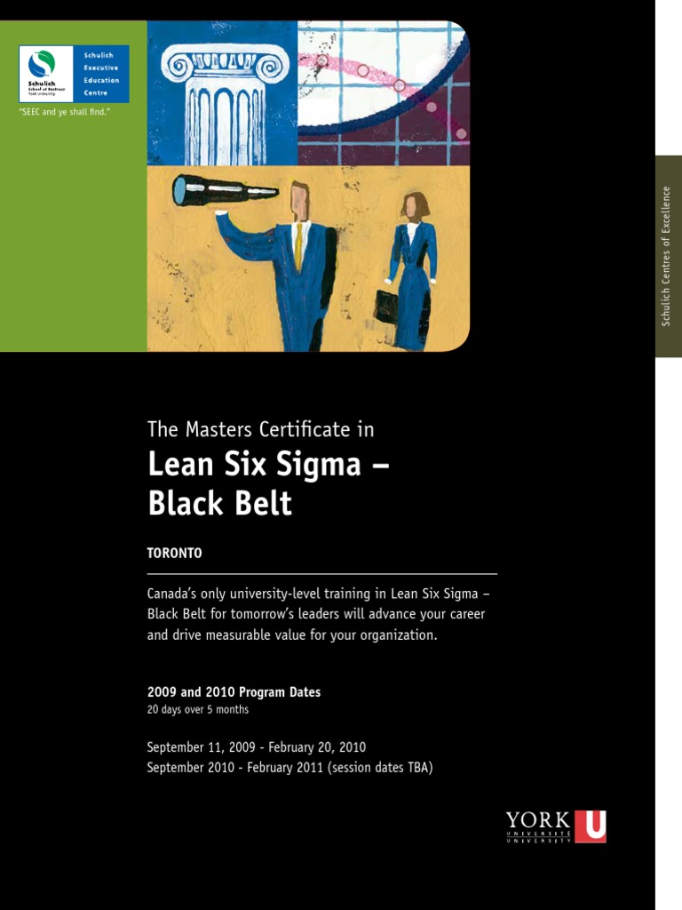 Lean Six Sigma Black Belt Pdf Six Sigma Statistics