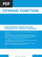 Thyroid Function Ordering Algorithm | PDF | Thyroid | Glands