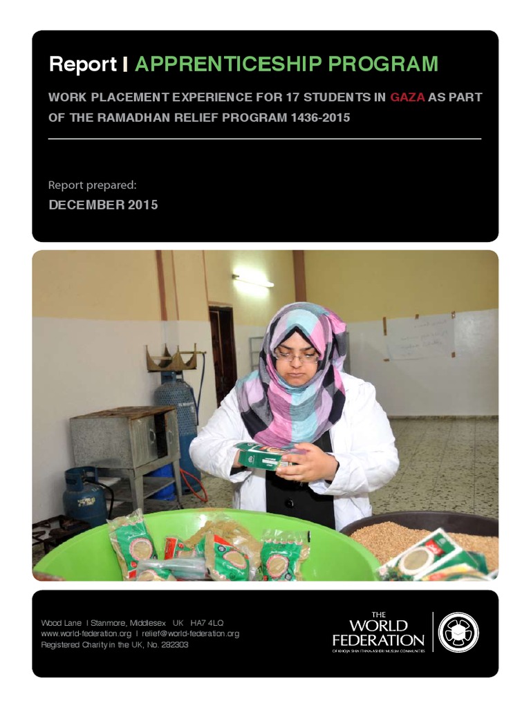 Apprenticeship Program Report | PDF | Apprenticeship | Gaza Strip