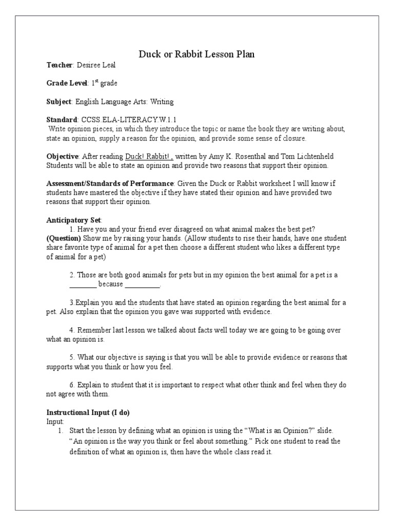 Duck or Rabbit Opinion Writing Plan | PDF | Lesson Plan | Question