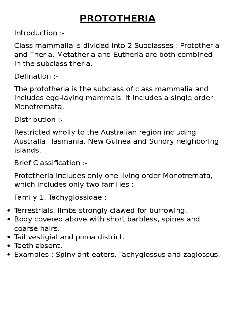 PROTOTHERIA | Mammals | Uterus