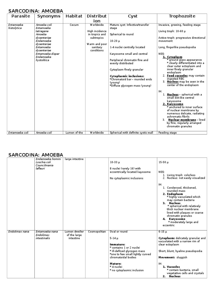 Sarcodina: Amoeba Overview and Types | PDF