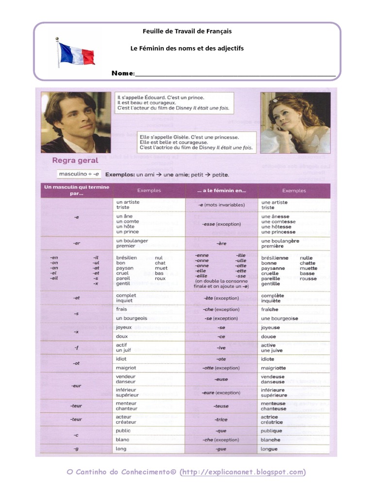 Francês 8º Ano Le Feminin Des Noms Et Des Adjectifs | PDF